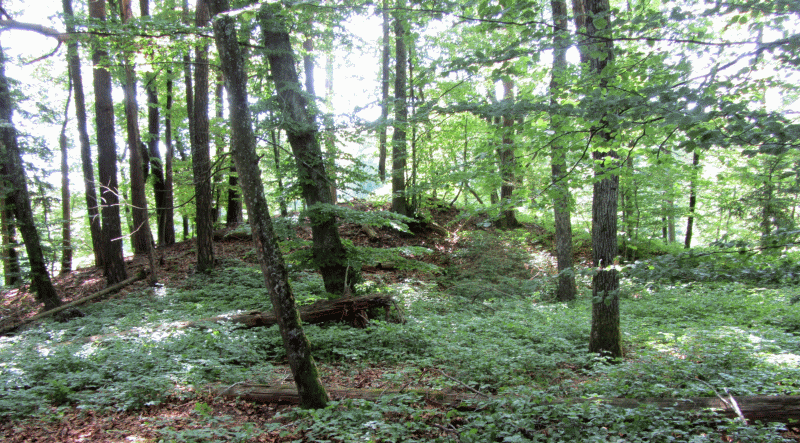 Lucens VD: Le vieux château au nord-ouest du château actuel – Lucens ...
